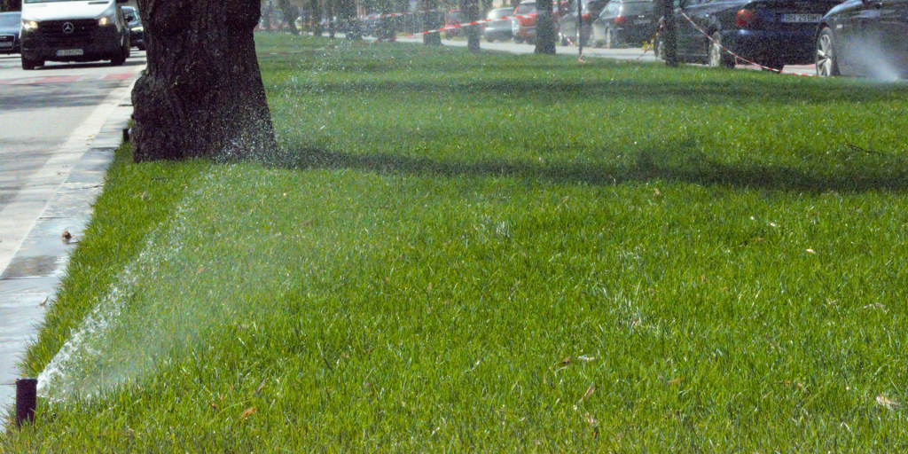 Sistemele de irigații - Ce trebuie să știi